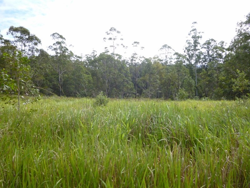 Lot 4 Nulla Nulla Creek Road, Bellbrook NSW 2440 | Kempsey Stock & Land ...