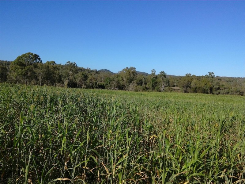 983 “Moonkan Park” Sandy Creek Road, Bushley QLD 4702 | Ray White Rural ...