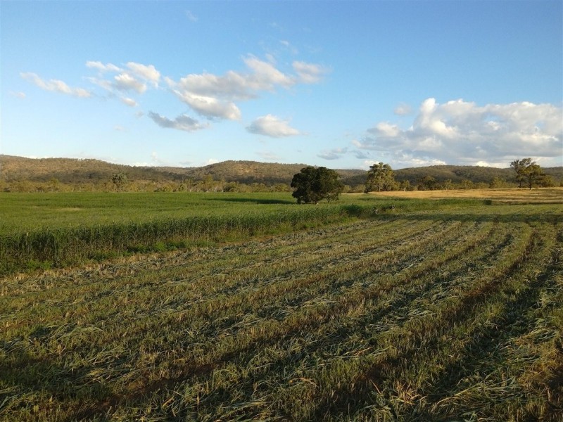 983 “Moonkan Park” Sandy Creek Road, Bushley QLD 4702 | Ray White Rural ...