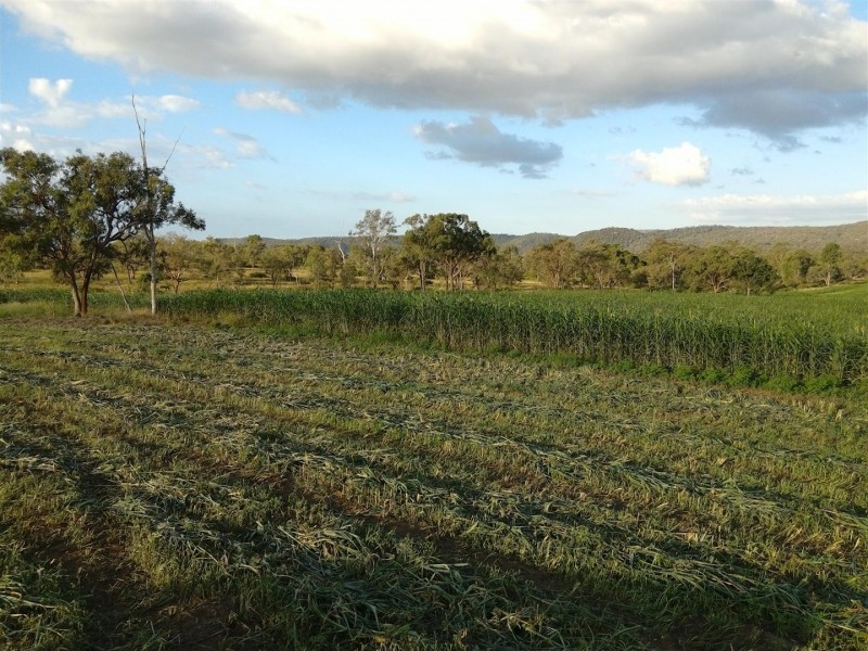 983 “Moonkan Park” Sandy Creek Road, Bushley QLD 4702 | Ray White Rural ...