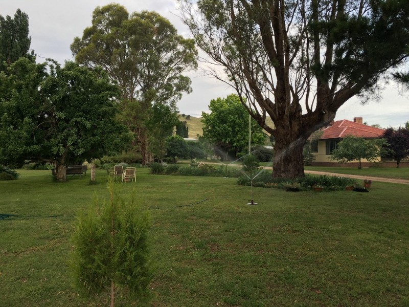 440 Murringo Gap Road, Murringo NSW 2586 | Elders Real Estate Albury ...