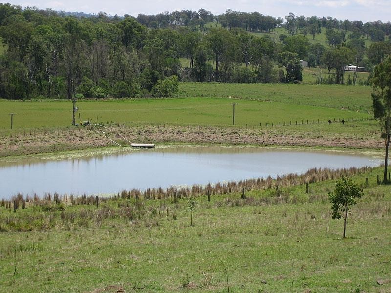 544 CAINBABLE CREEK ROAD, Kerry QLD 4285 | the real estate agency ...