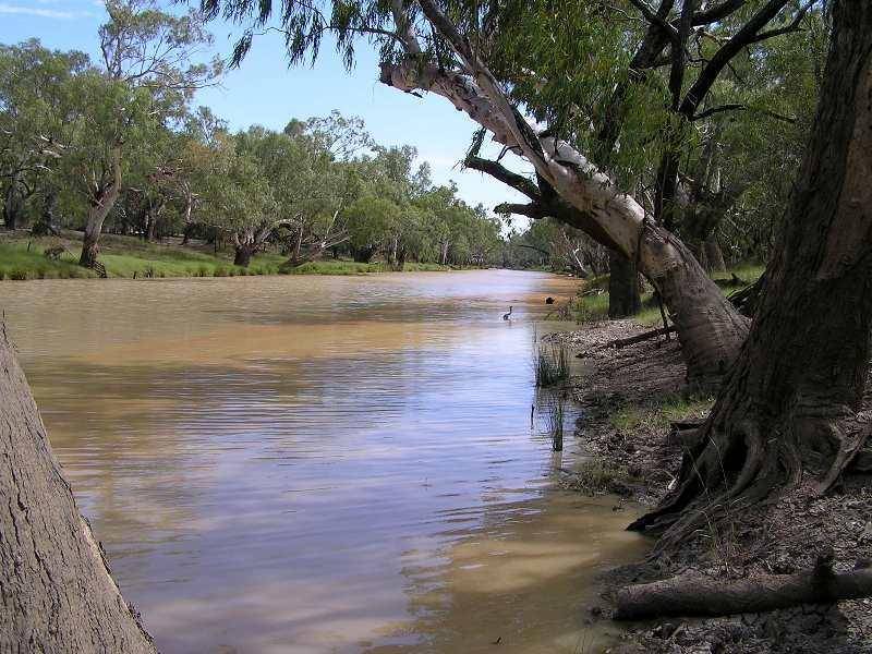 GOONDIWINDI / BUNGUNYA, Goondiwindi QLD 4390 | the real estate agency ...