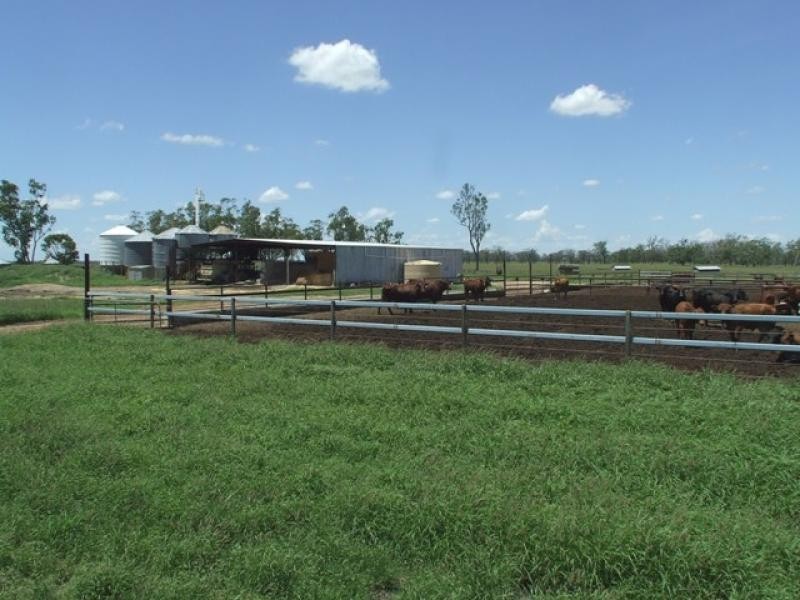 St George QLD 4487 | the real estate agency | Withdrawn