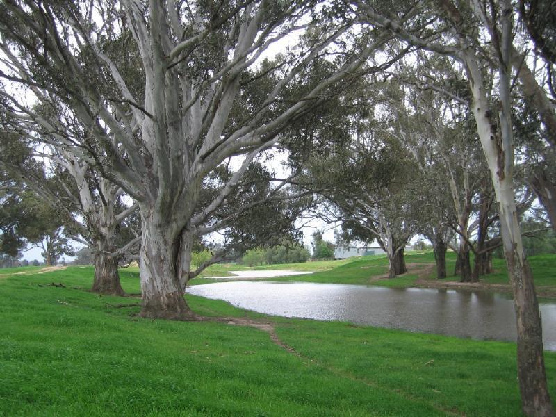 “BULGANDRA STATION”, Walbundrie NSW 2642 | the real estate agency ...