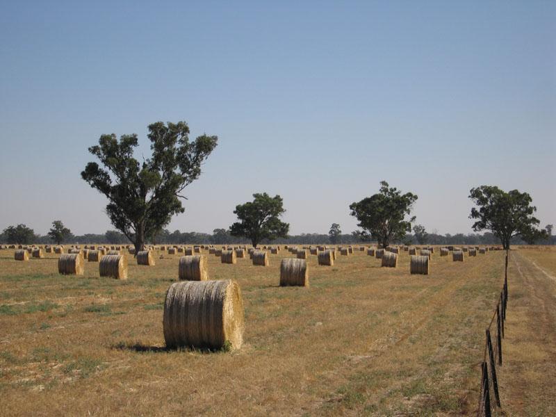 “BULGANDRA STATION”, Walbundrie NSW 2642 | the real estate agency ...