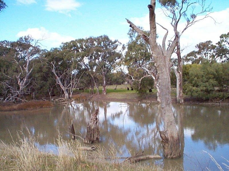 13 Billabong Creek Estate, Conargo NSW 2710 | the real estate agency ...