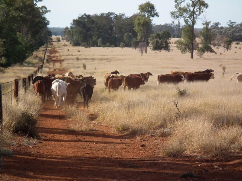 Rossmore Flinton, Moonie QLD 4406 | the real estate agency | Withdrawn