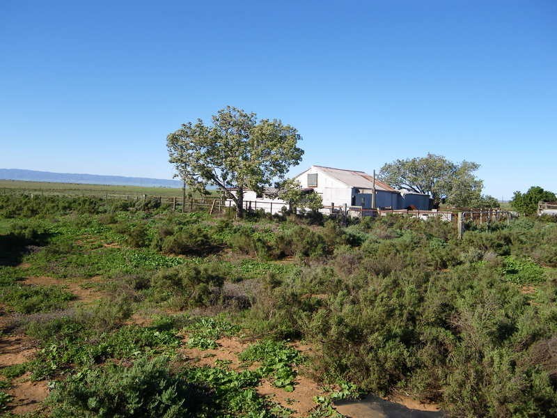 Ti-Tree Farm, Port Davis Road, Port Pirie SA 5540 | the real estate ...