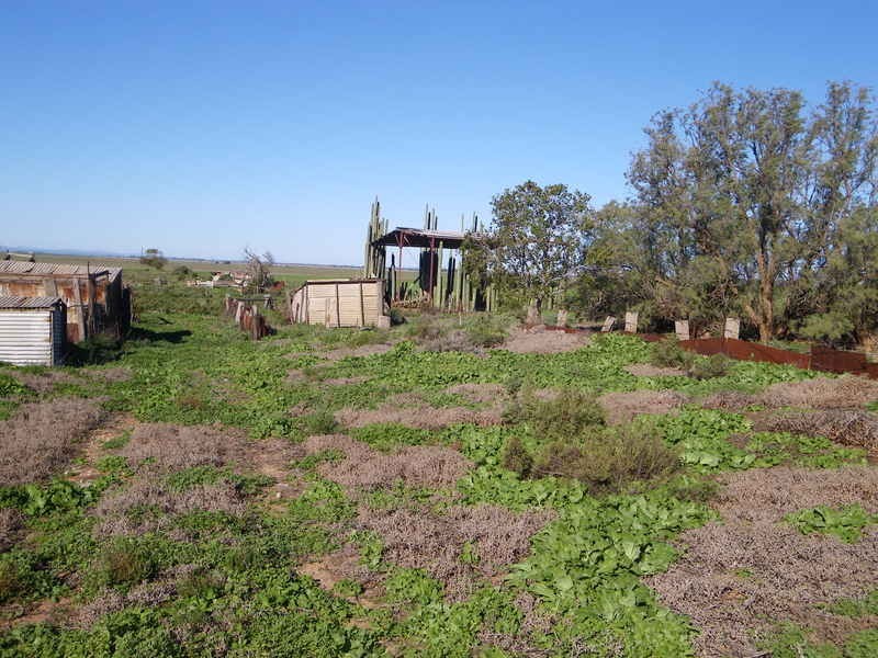 Ti-Tree Farm, Port Davis Road, Port Pirie SA 5540 | the real estate ...