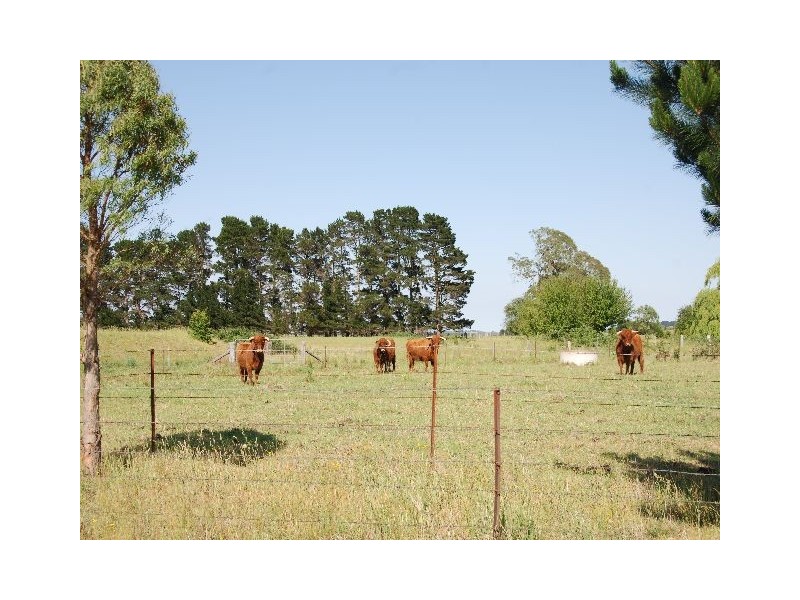 Rowena Park Sproules Lane, Glenquarry NSW 2576 | the real estate agency ...