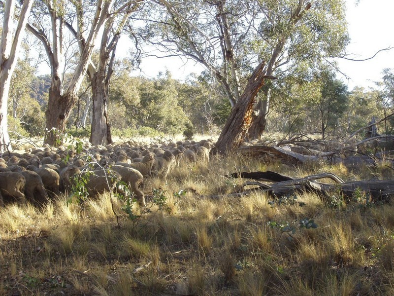 Strathbarton, Bothwell TAS 7030 | the real estate agency | Withdrawn