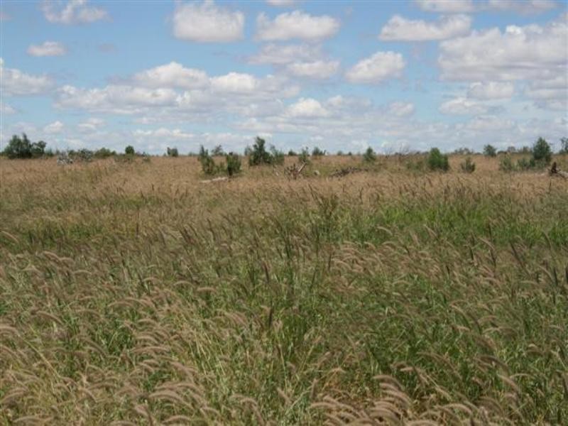 1 Albany Downs Road, Mitchell QLD 4465 | the real estate agency | Withdrawn