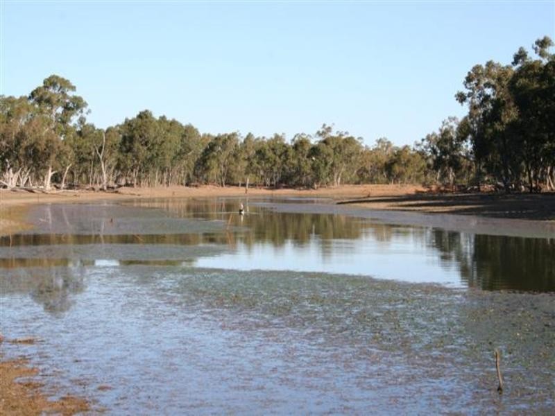 1 Albany Downs Road, Mitchell QLD 4465 | the real estate agency | Withdrawn