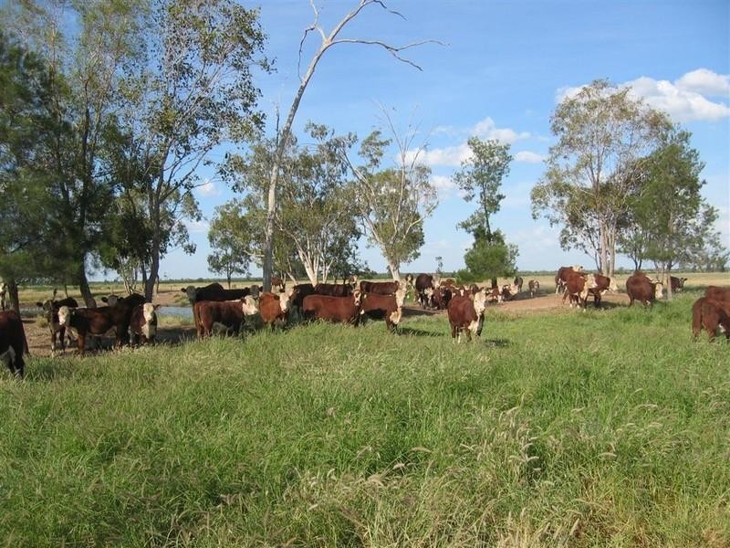 “Rossmore” Flinton Road, Flinton QLD 4422 | the real estate agency ...