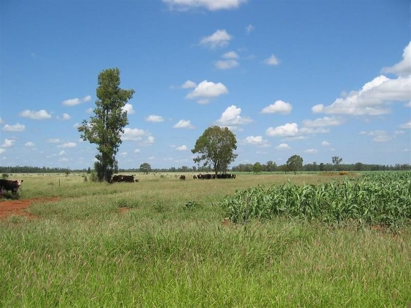 “Rossmore” Flinton Road, Flinton QLD 4422 | the real estate agency ...