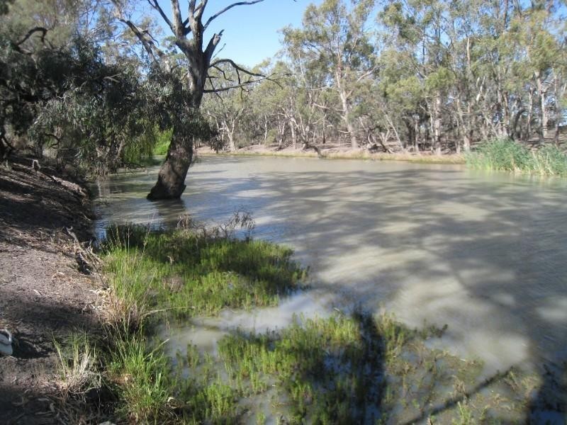 Wanganella NSW 2710 | the real estate agency | Withdrawn